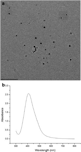 Stability of silver nanoparticles