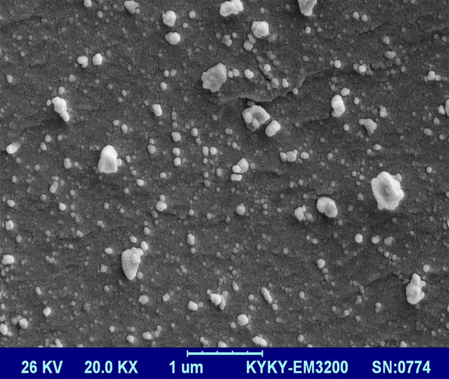 SEM micrographs of PbTiO 3 nanostructures calcined at 550 °C for 2 h