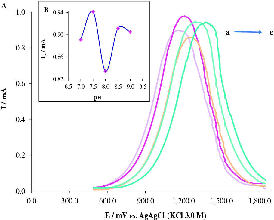 Effect of PbTiO3 nanoparticles