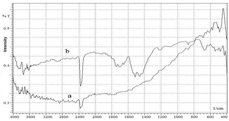 FT-IR spectra of CNTs before (a) and after (b) functionalization.