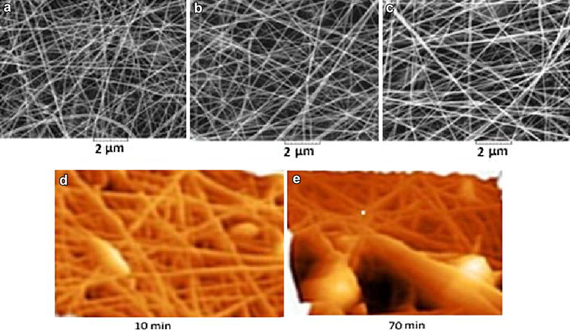 Plasma surface modification of electrospun nano-fibers