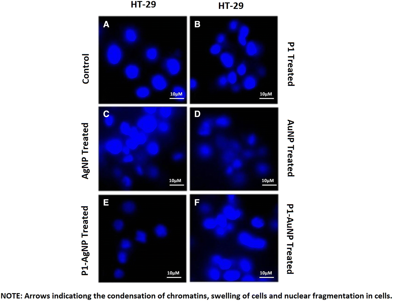 Fig. 11