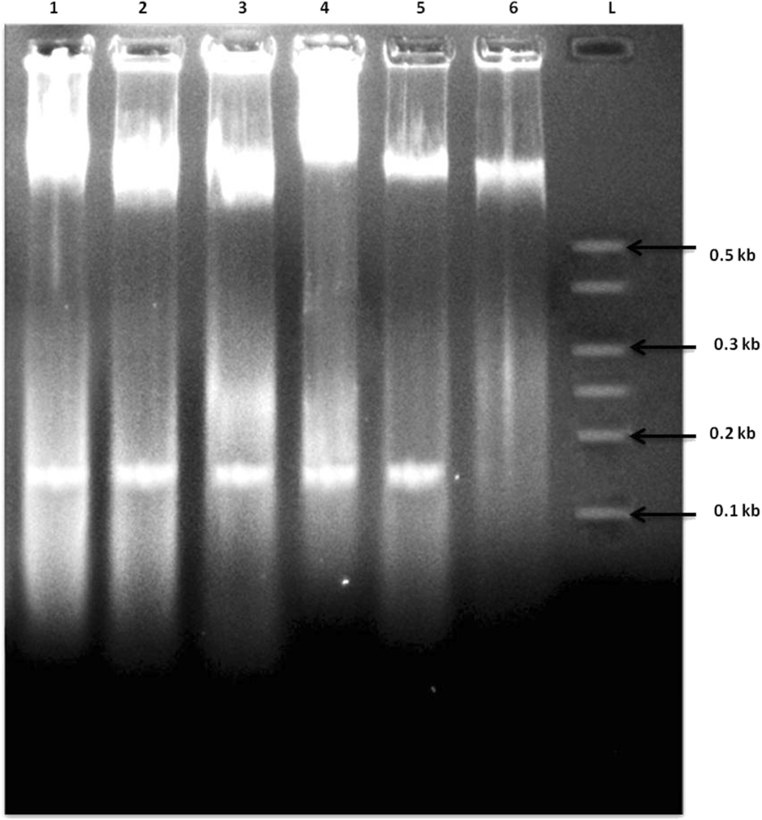 Fig. 13