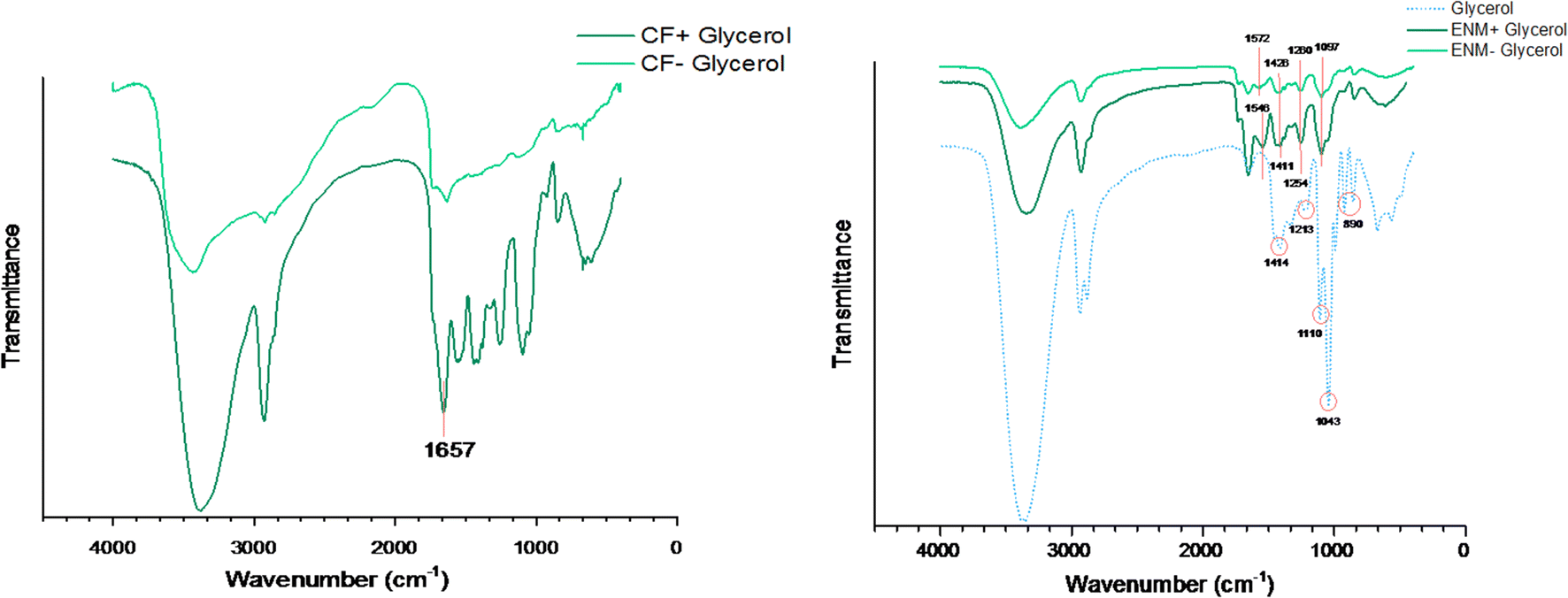 FTIR spectra of CF and ENM with and without glycerol